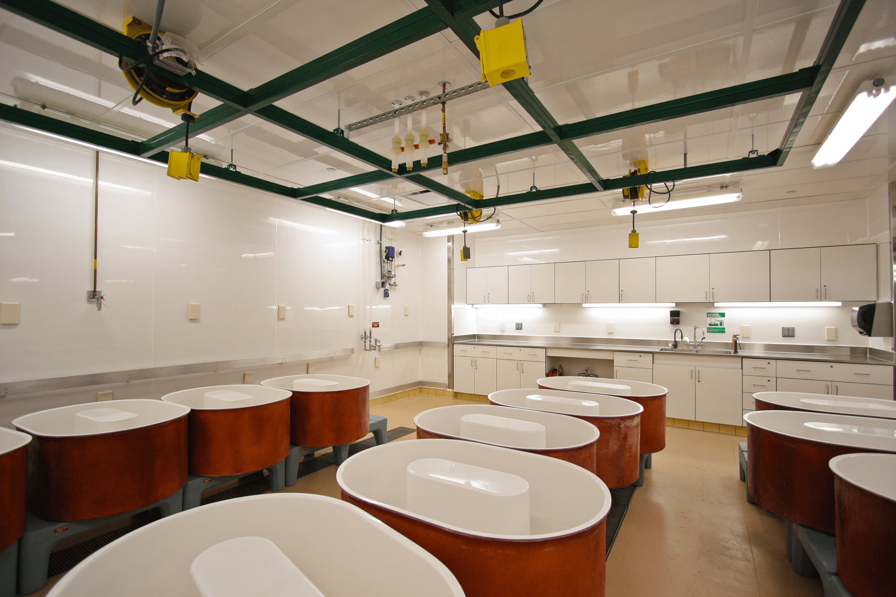 Arcoplast. Vivarium wall and ceiling seamless primary barrier systems ...